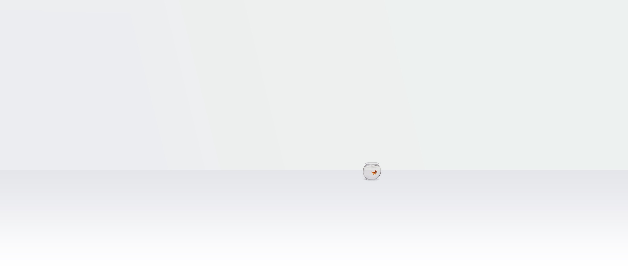 Castrum Caesar - Blick auf eine Burgruine hinter Bäumen von Josua de ...